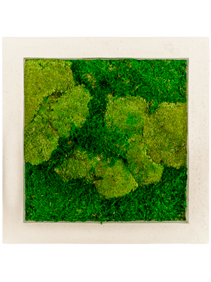 Natural - Mos - FloraDin A/S